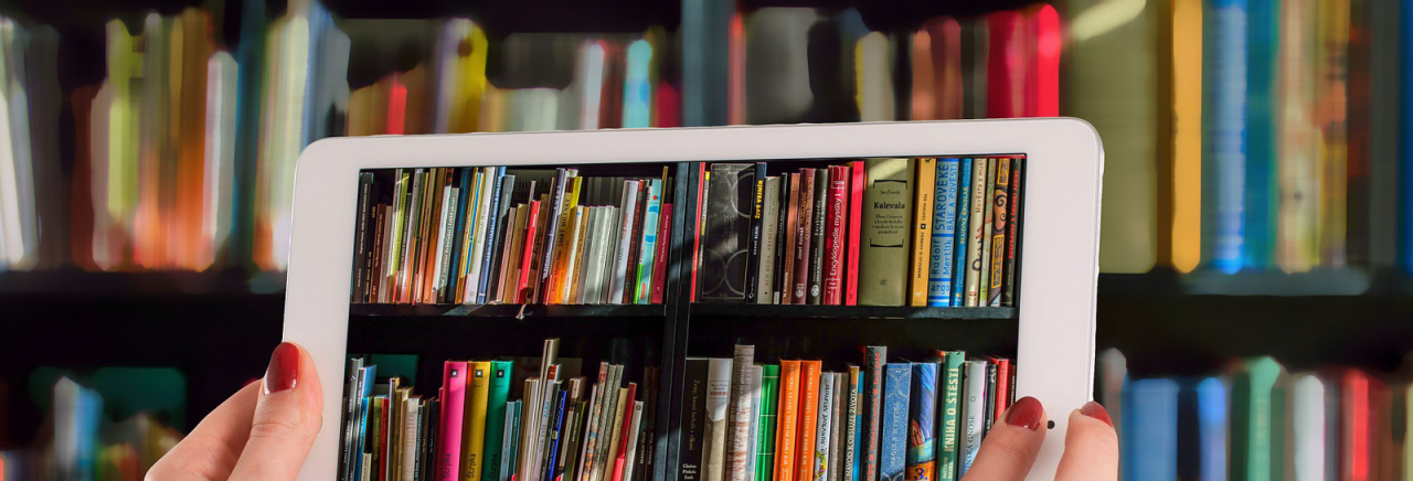 Elementary Virtual Library – Near North District School Board