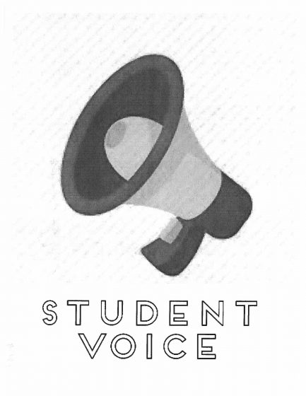 Student Voice: Art and Logo Content – Near North District School Board